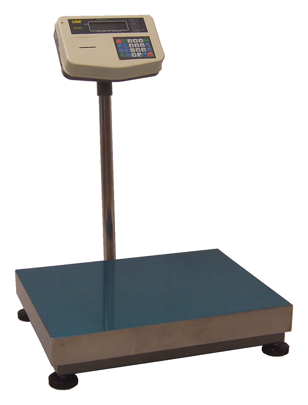 W22 Floor Scales | Auto Scales